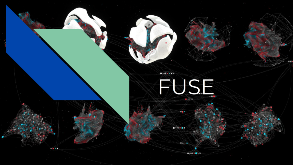 Roadmap: The FUSE project – The NODE Institute